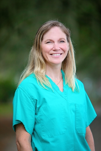 Orthopaedics in Southern Alabama